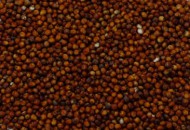 赤マイロ « サカマキオンラインショップ High Fly Flow