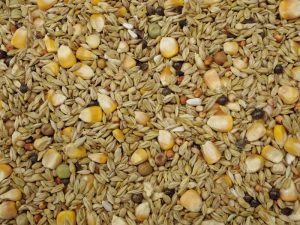 サカマキオンラインショップ High Fly Flow